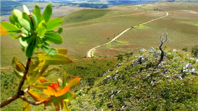 Our Gallery - Holiday Home - Vumba, Zimbabwe